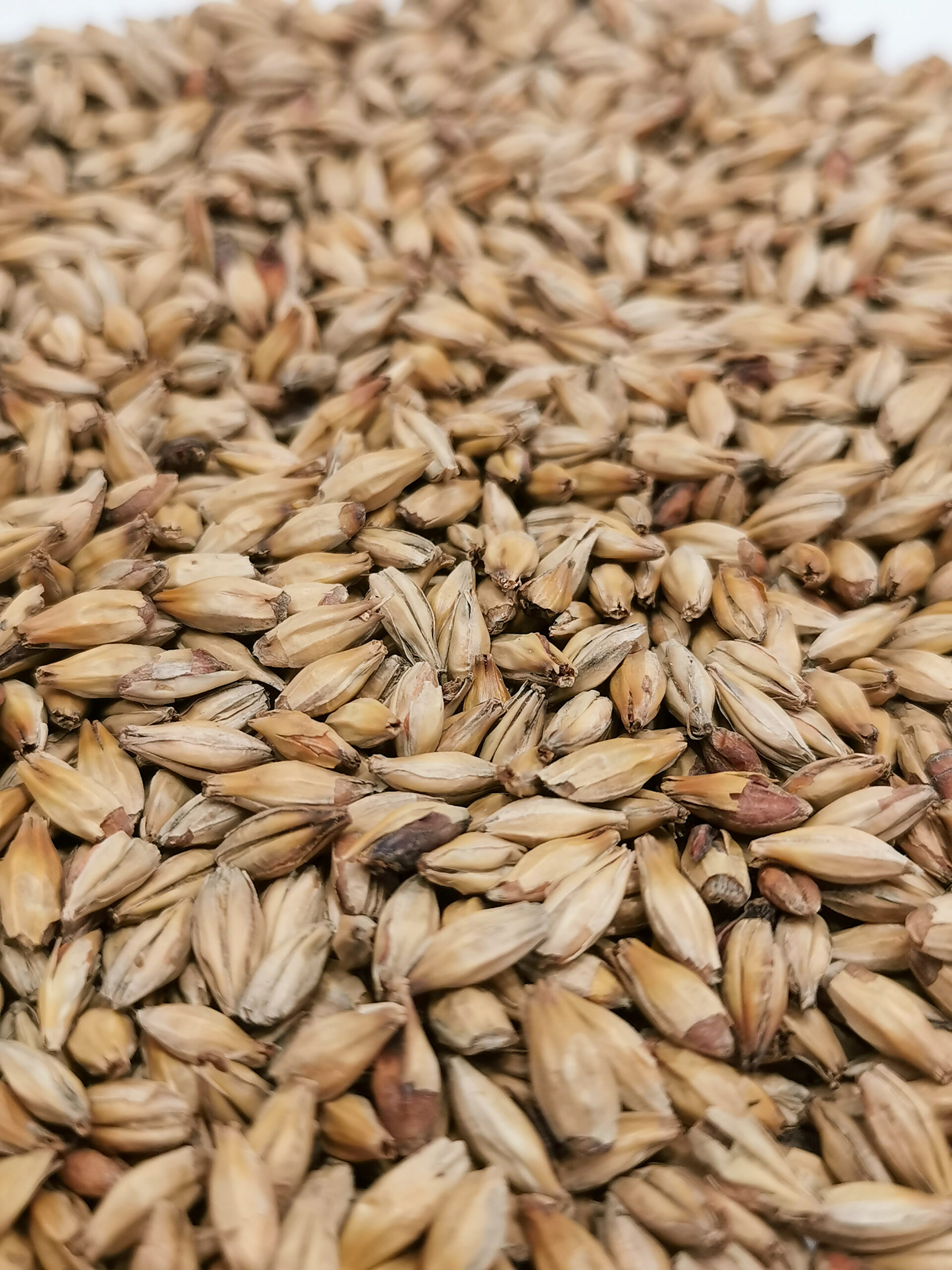 Services - A VOS MALTS 🌾 Malterie Bio et Locale